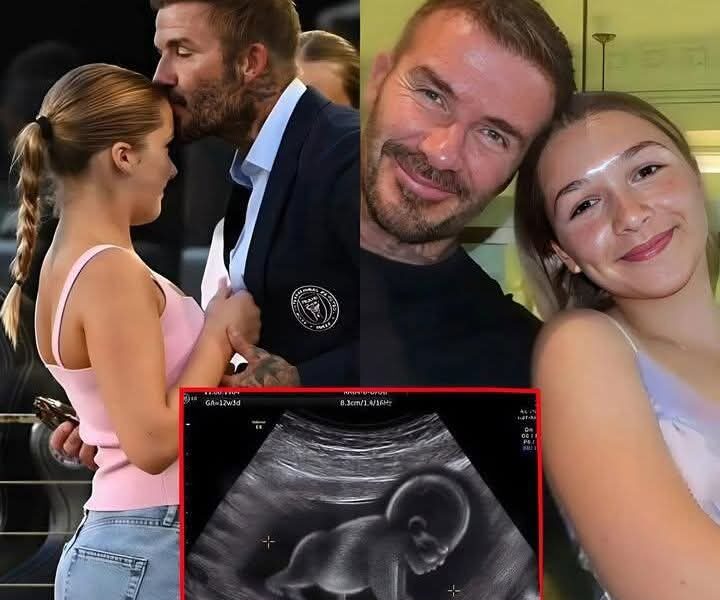 David Beckham’s 17-year-old daughter Harper is said to be pregnant ...